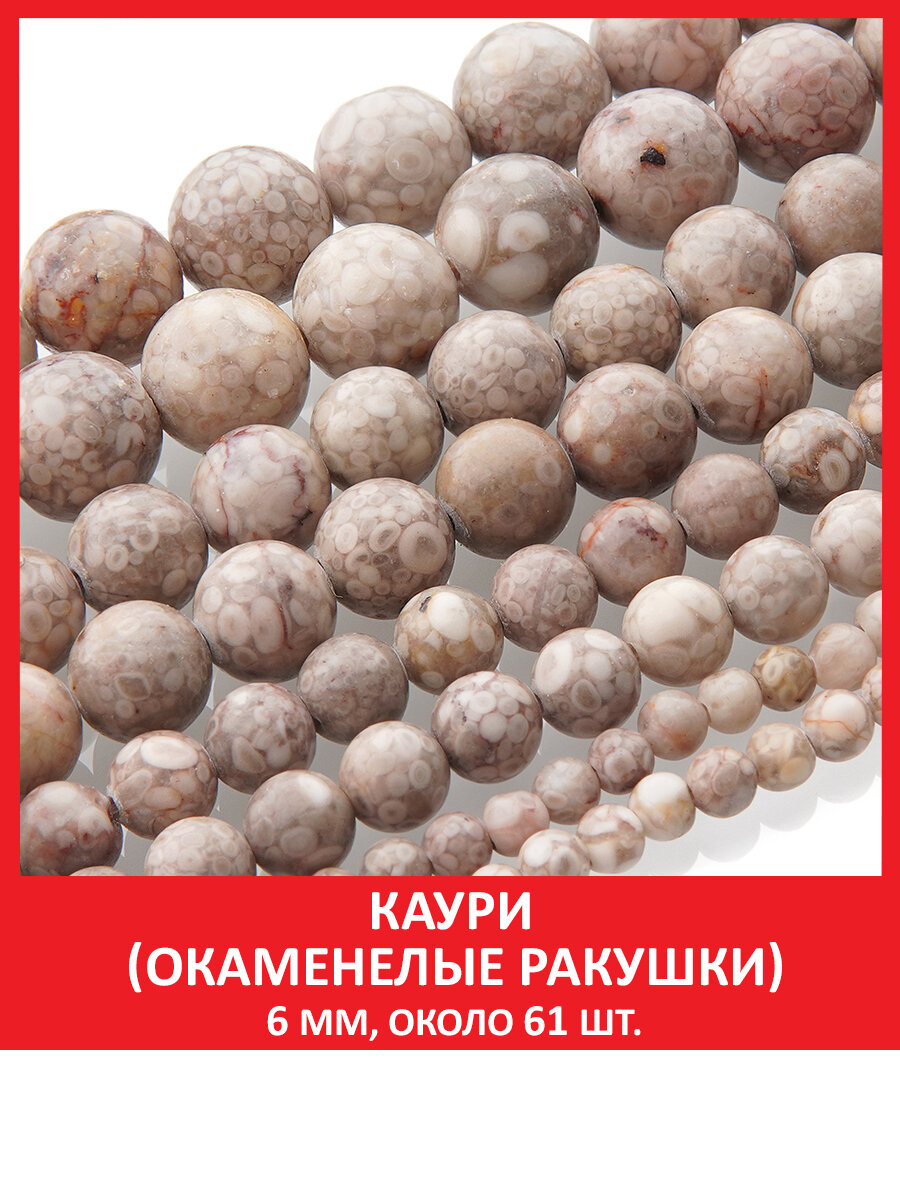 Каури (окаменелые ракушки) 6 мм, бусины на нитке (около 61 шт)