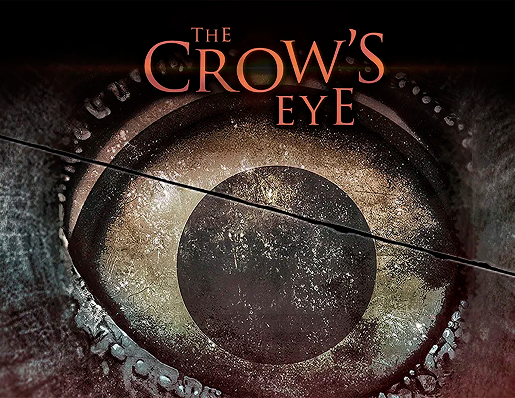 The Crow's Eye, Akupara Games, цифровая версия, Steam (Для платформы PC)