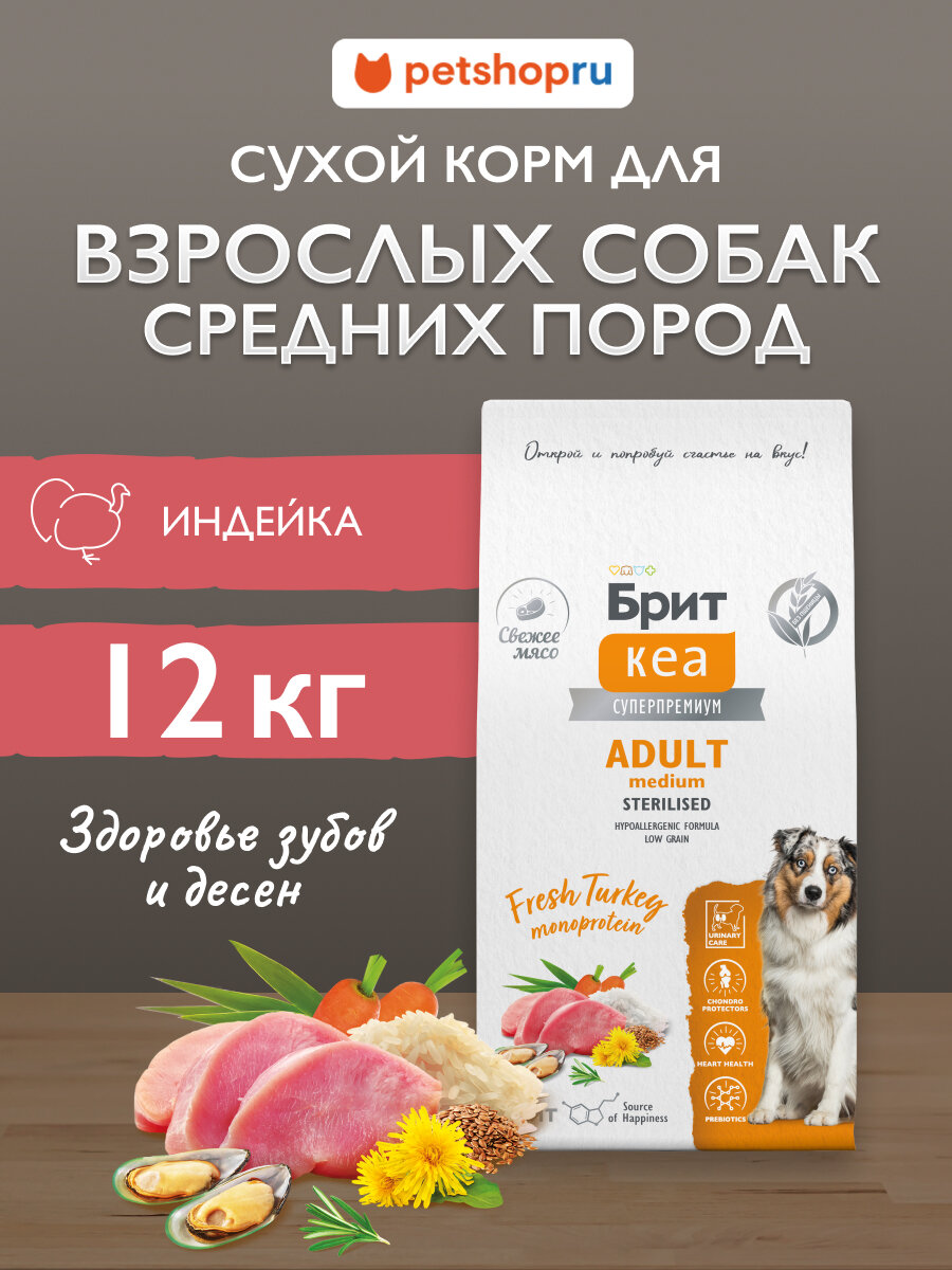 Сухой корм с индейкой для взрослых собак средних пород, для здоровья зубов
