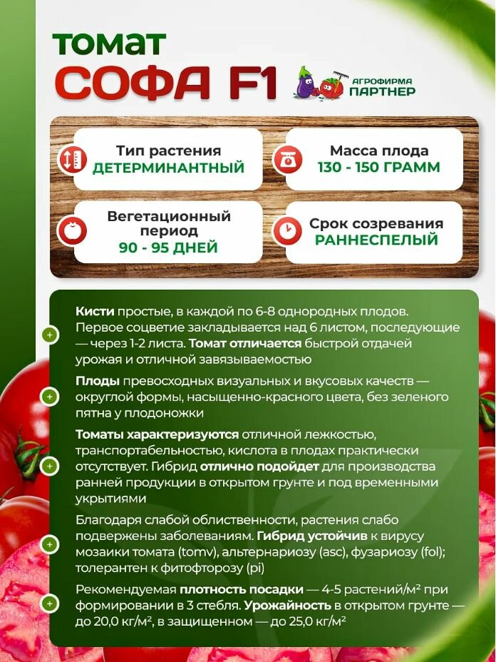 Семена томат Софа — фото 1