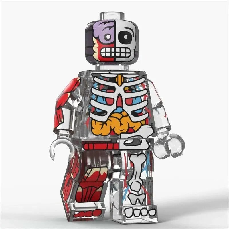 Конструктор фигурка "Анатомия " совместим с конструкторами Lego (D8005)