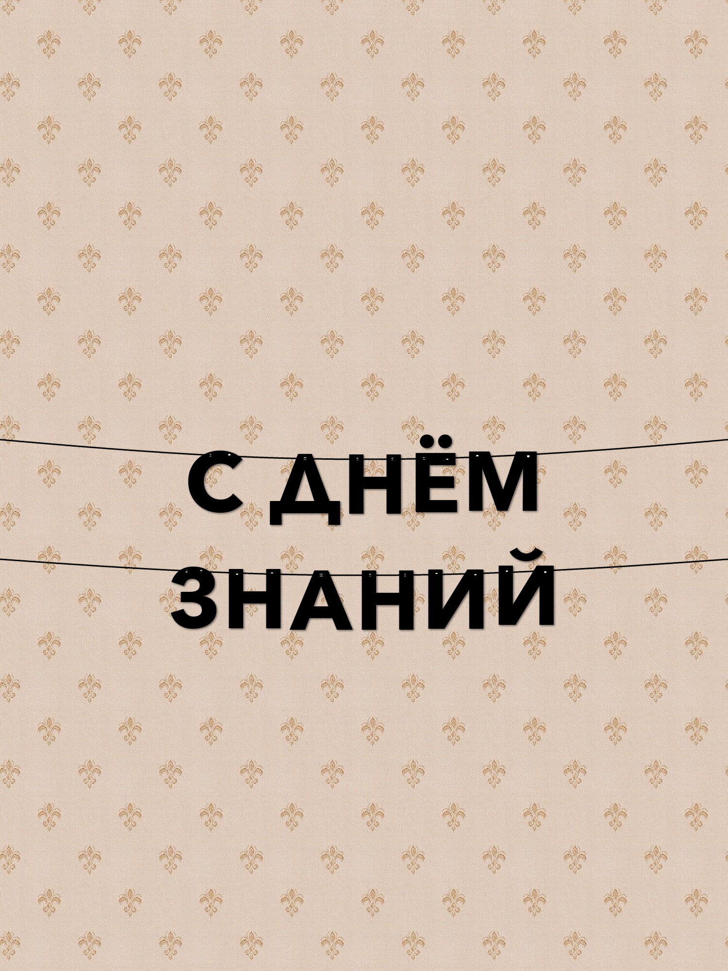 Гирлянда для дома С днём знаний - стильный декор для учебного года, высота букв 10 см, толщина букв 1 мм.