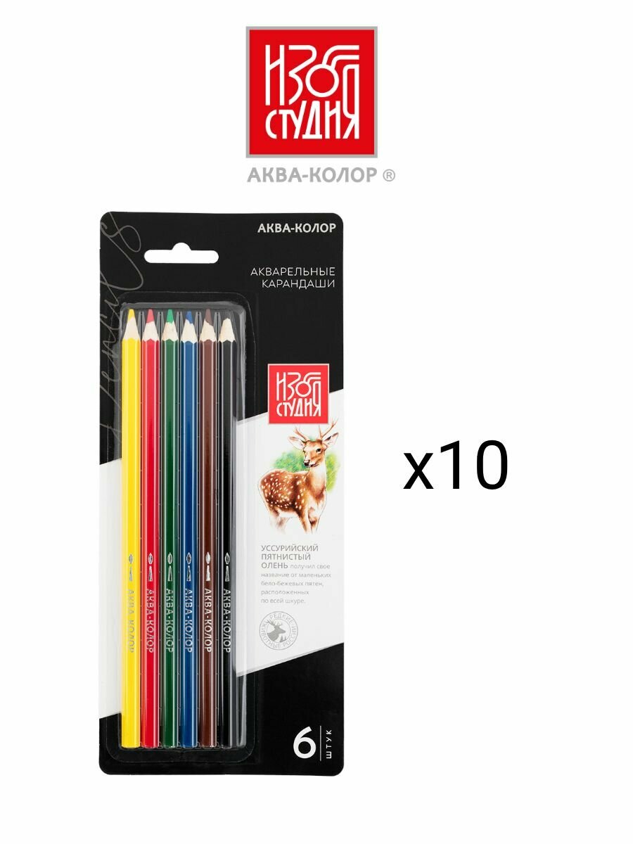 Аква-колор карандаши акварельные Изостудия, заточенные, упаковка 10 наборов по 6 цветов IZO-WCP6B