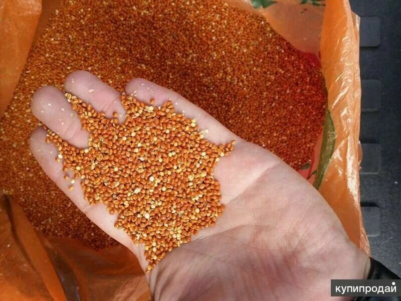Просо красное, 1000 гр.