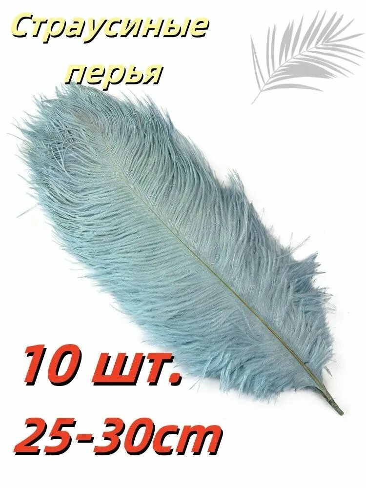 10 шт. перьев страуса 25-30 см