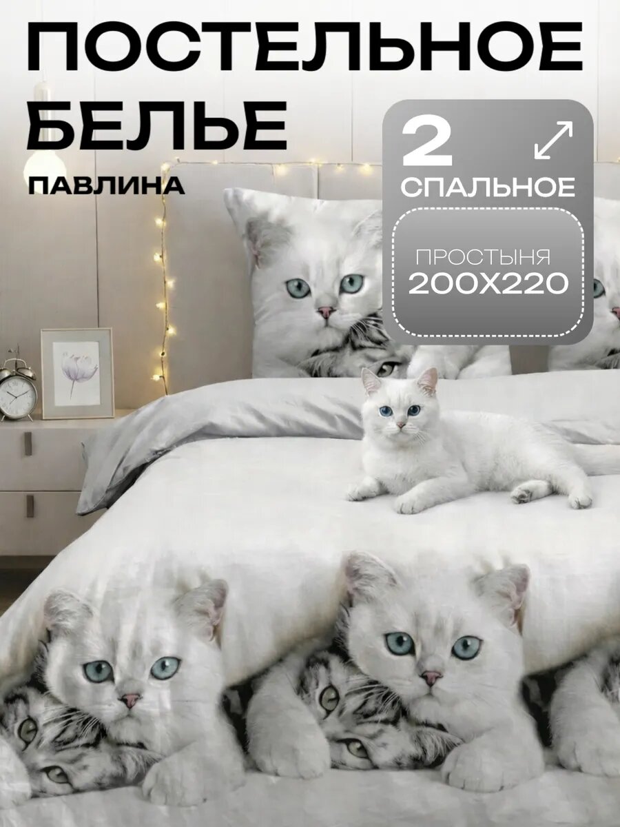 Постельное белье 2 спальное с европростыней Павлина Котики белые, Полисатин, наволочки 70x70