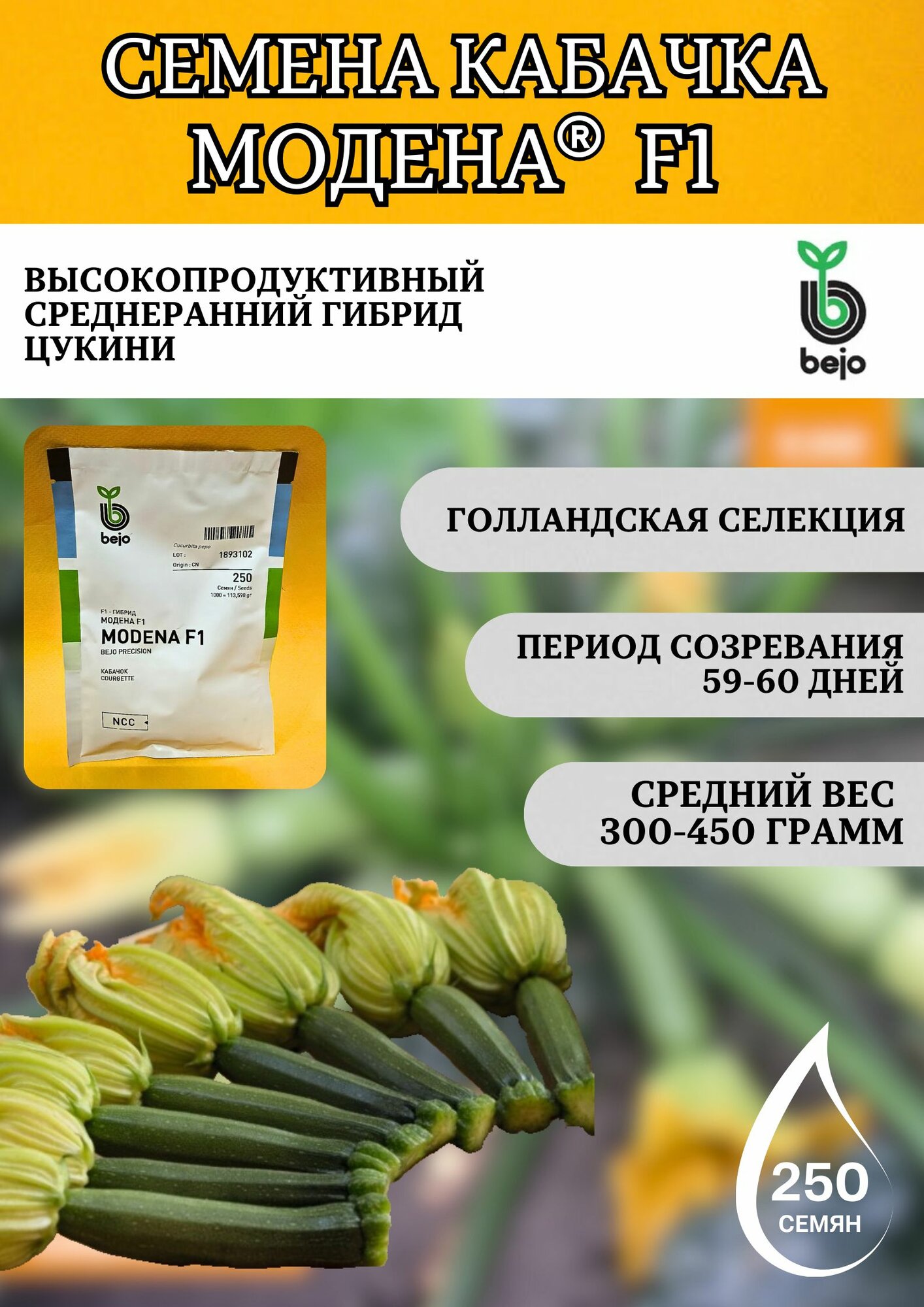 Кабачок Модена F1 250 семян Bejo, профессиональные семена для огорода