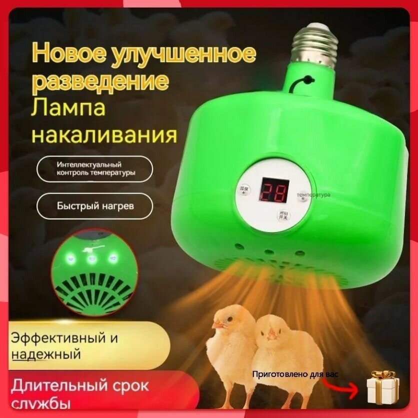 Брудер