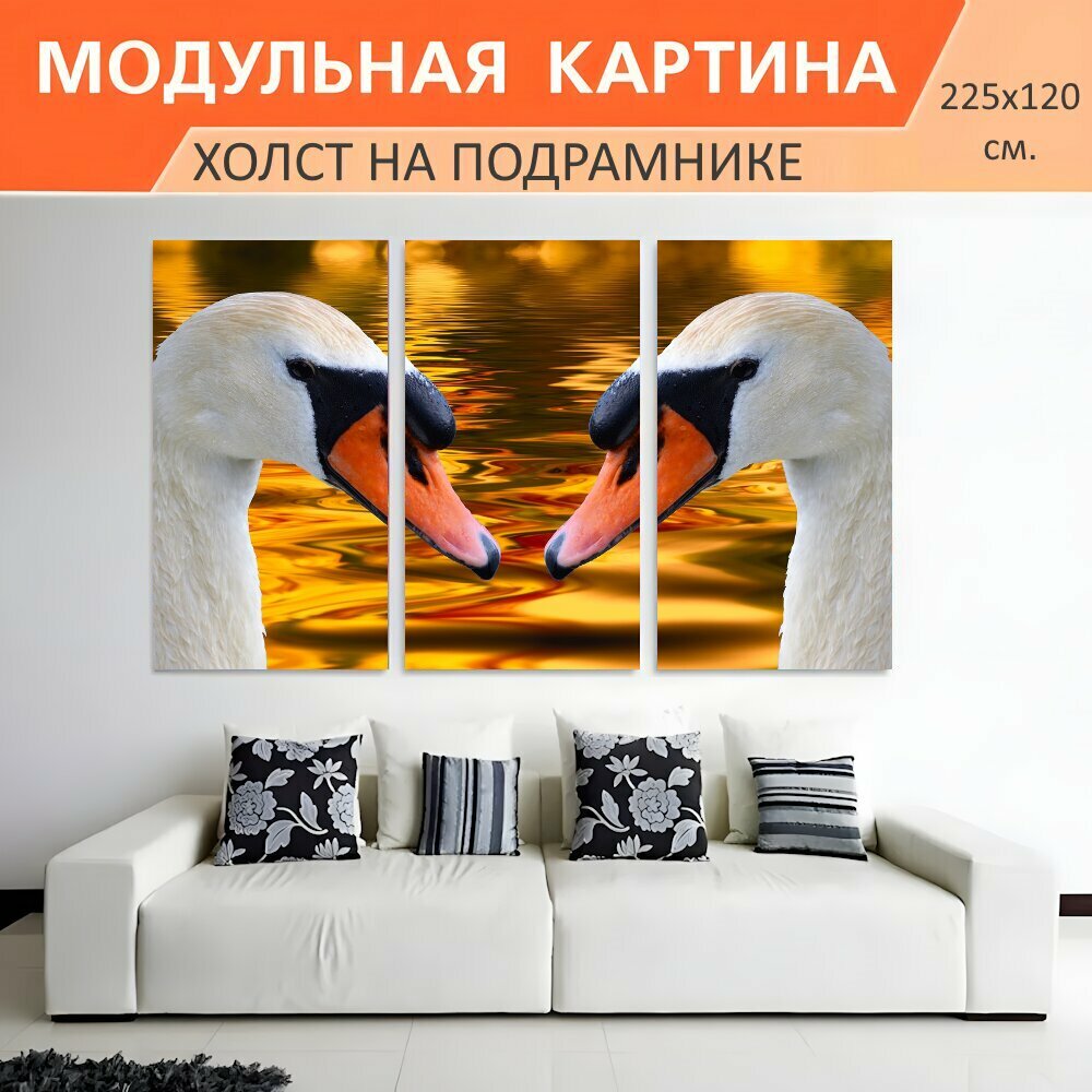 Модульная картина на холсте "Лебеди, голова лебедя, водоплавающая птица" триптих на подрамнике 225х120 см. для интерьера