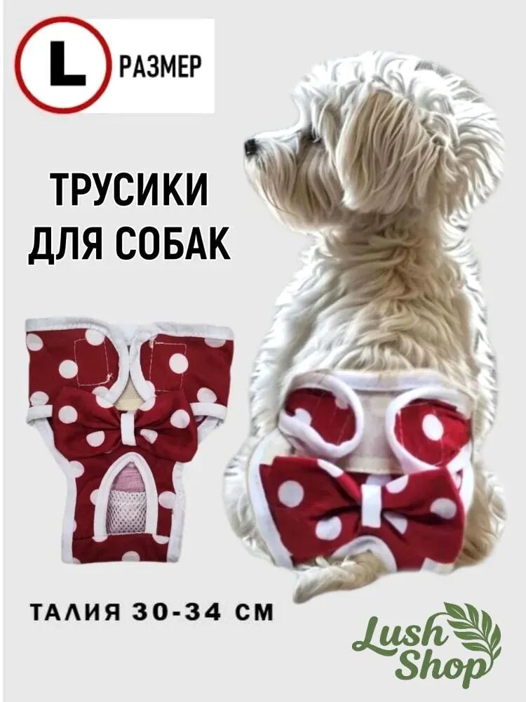 Трусы для собаки во время течки многоразовые. Размер L. Обхват талии 30-34 см. Красные в горох. Одежда для мелких пород и кошек
