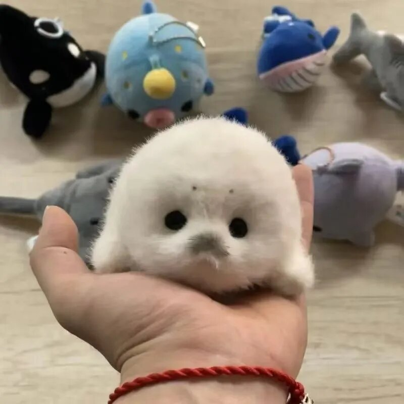 Игрушка