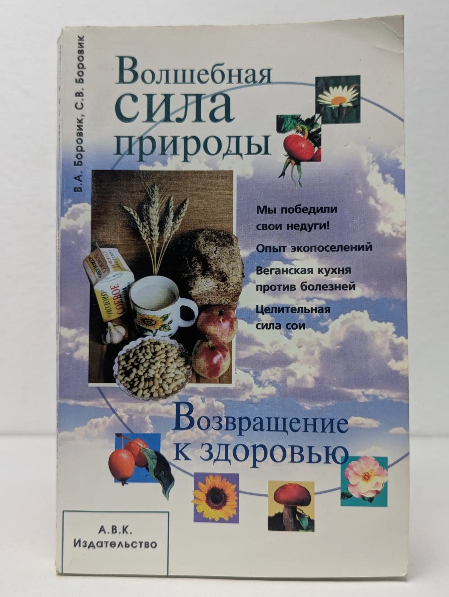 Народный целитель. Волшебная сила природы. Возвращение к здоровью Боровик Владимир Алексеевич, Боровик Сергей Владимироваич 2002