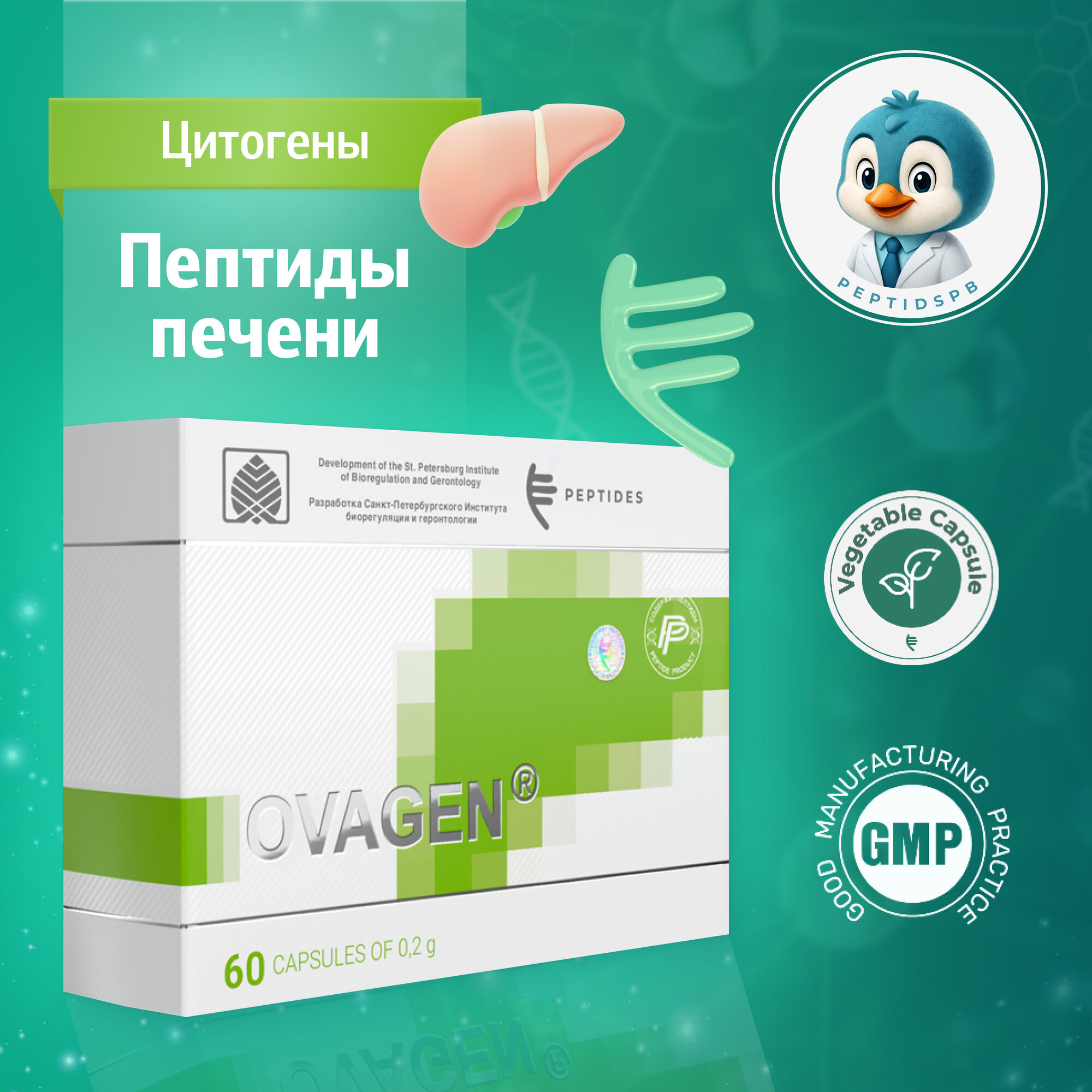 Оваген - пептиды Хавинсона для печени и ЖКТ (60 капсул) I восстановление функций и защита