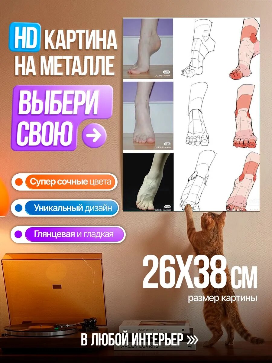 Картина на HD металле Уроки рисования ног