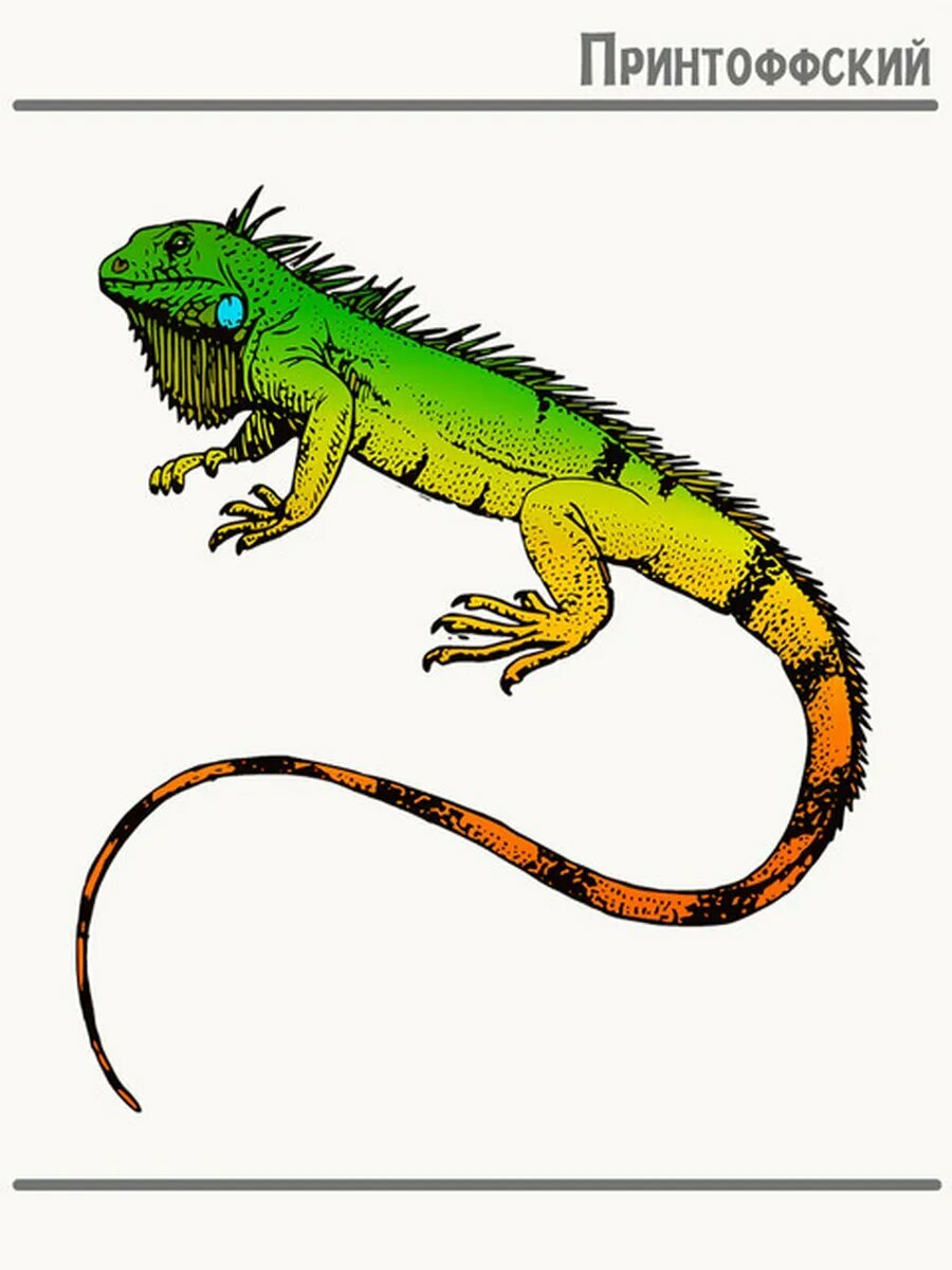 Термонаклейка для одежды и аксессуаров DTF-печать игуана green iguana ящерица