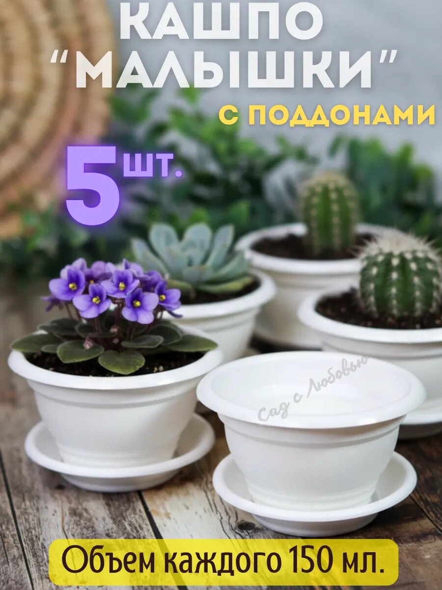 5 мини кашпо для кактусов, фиалок, суккулентов с поддоном