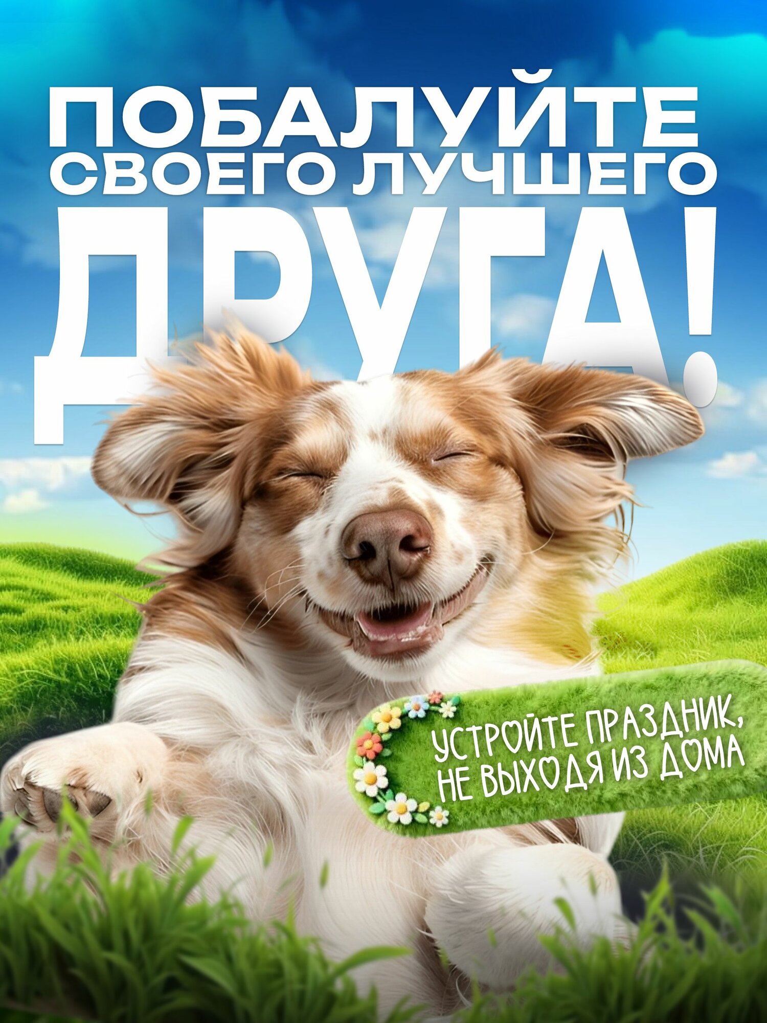 Сюрприз бокс питомца "Собака". Подарок домашнему питомцу. Игрушка хвостатому — фото 1