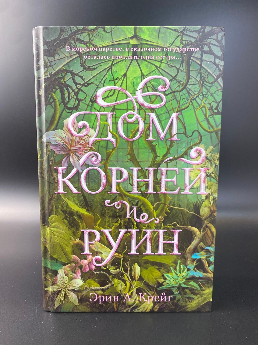 Дом корней и руин. Крейг Эрин