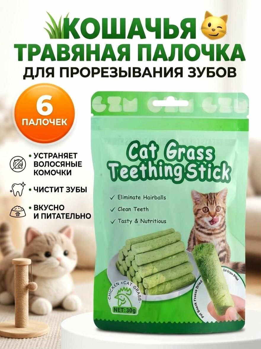 Кошачья травяная палочка, Используется для чистый зубы