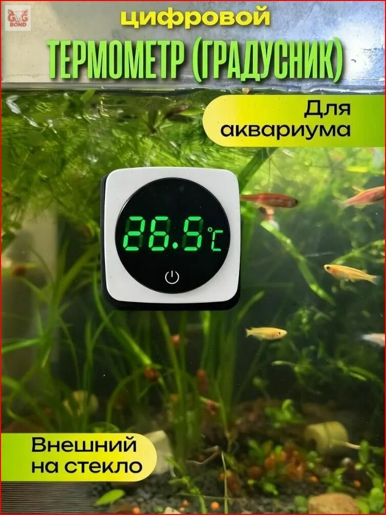Термометр для аквариума