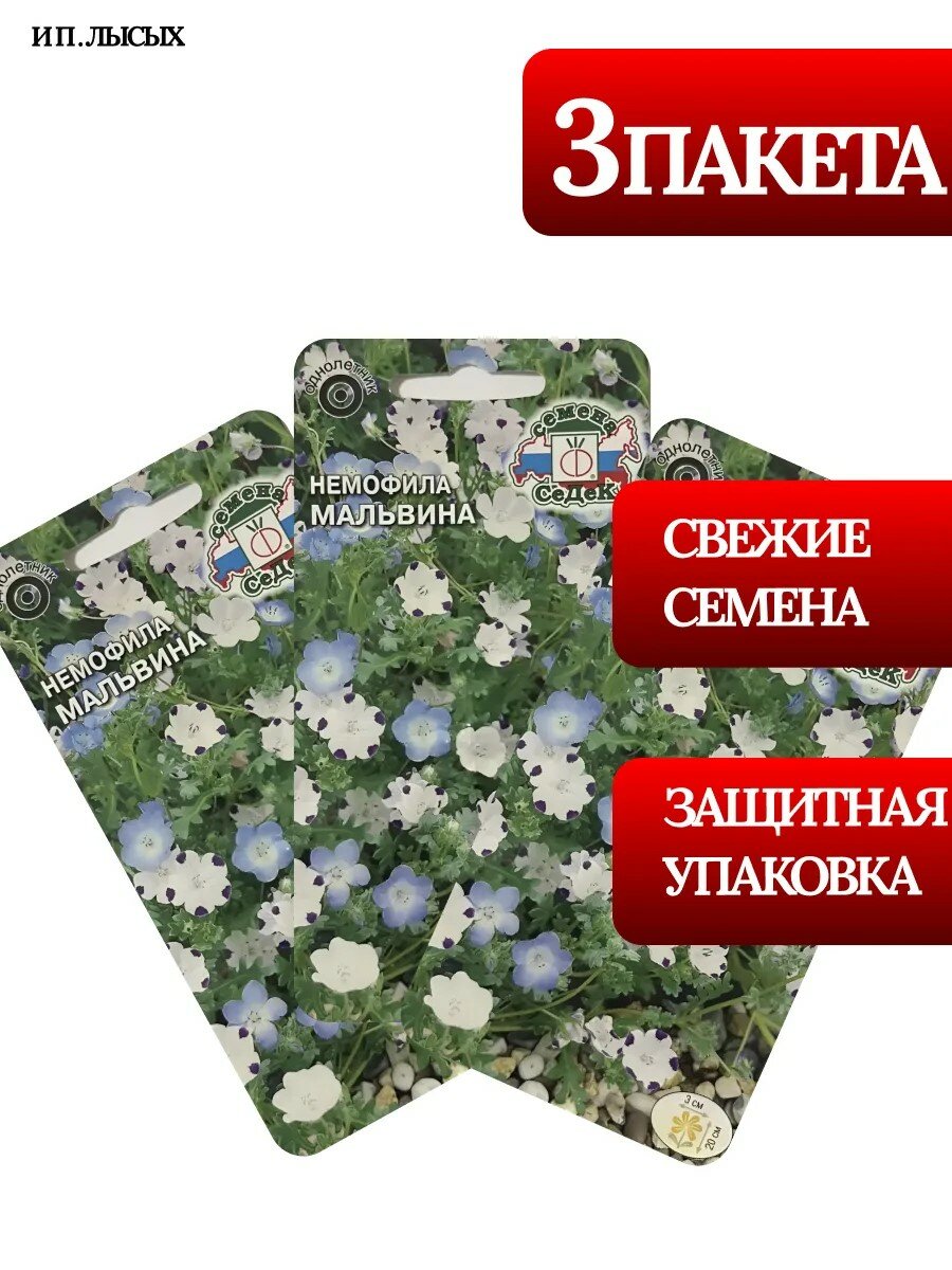 Семена Немофила "Мальвина"