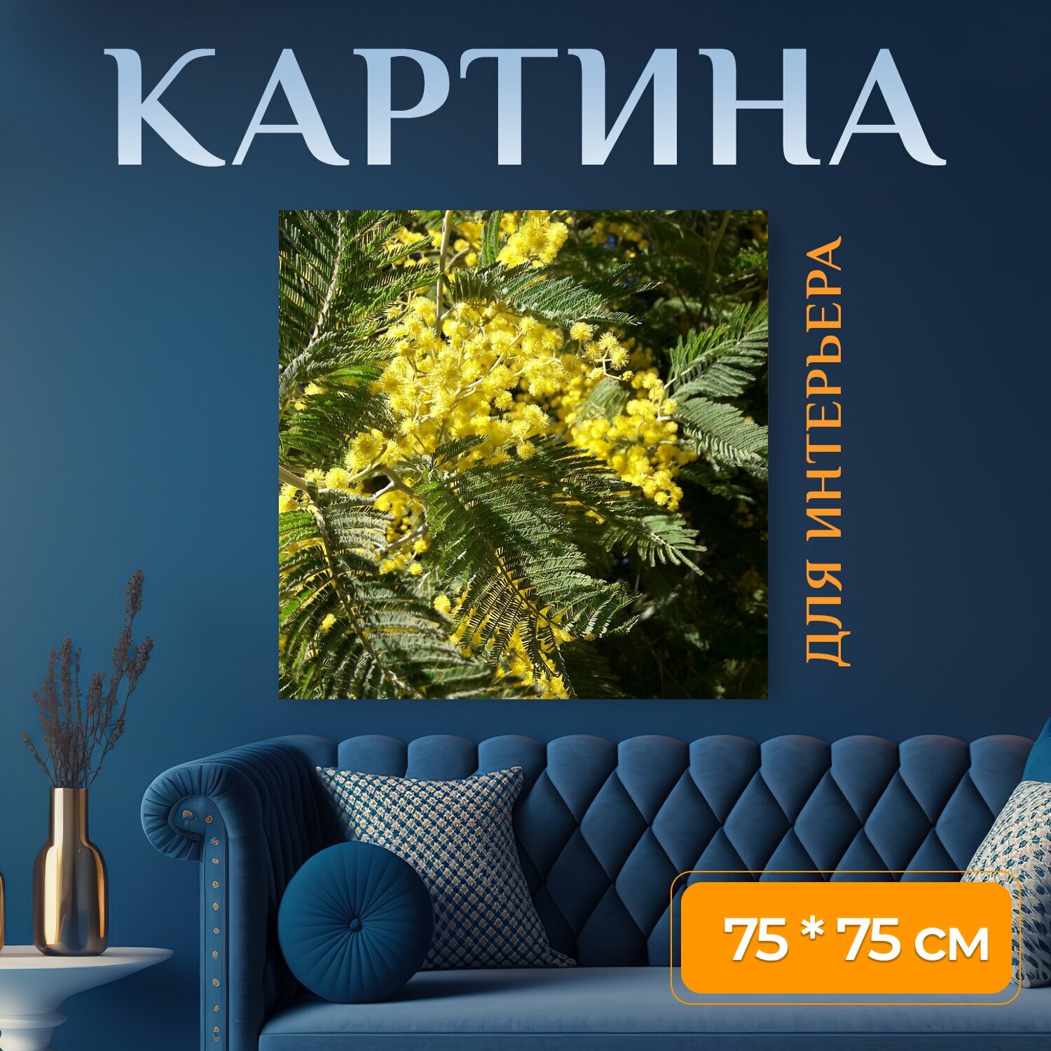 Картина на холсте "Цветы, мимоза, весна" на подрамнике 75х75 см. для интерьера