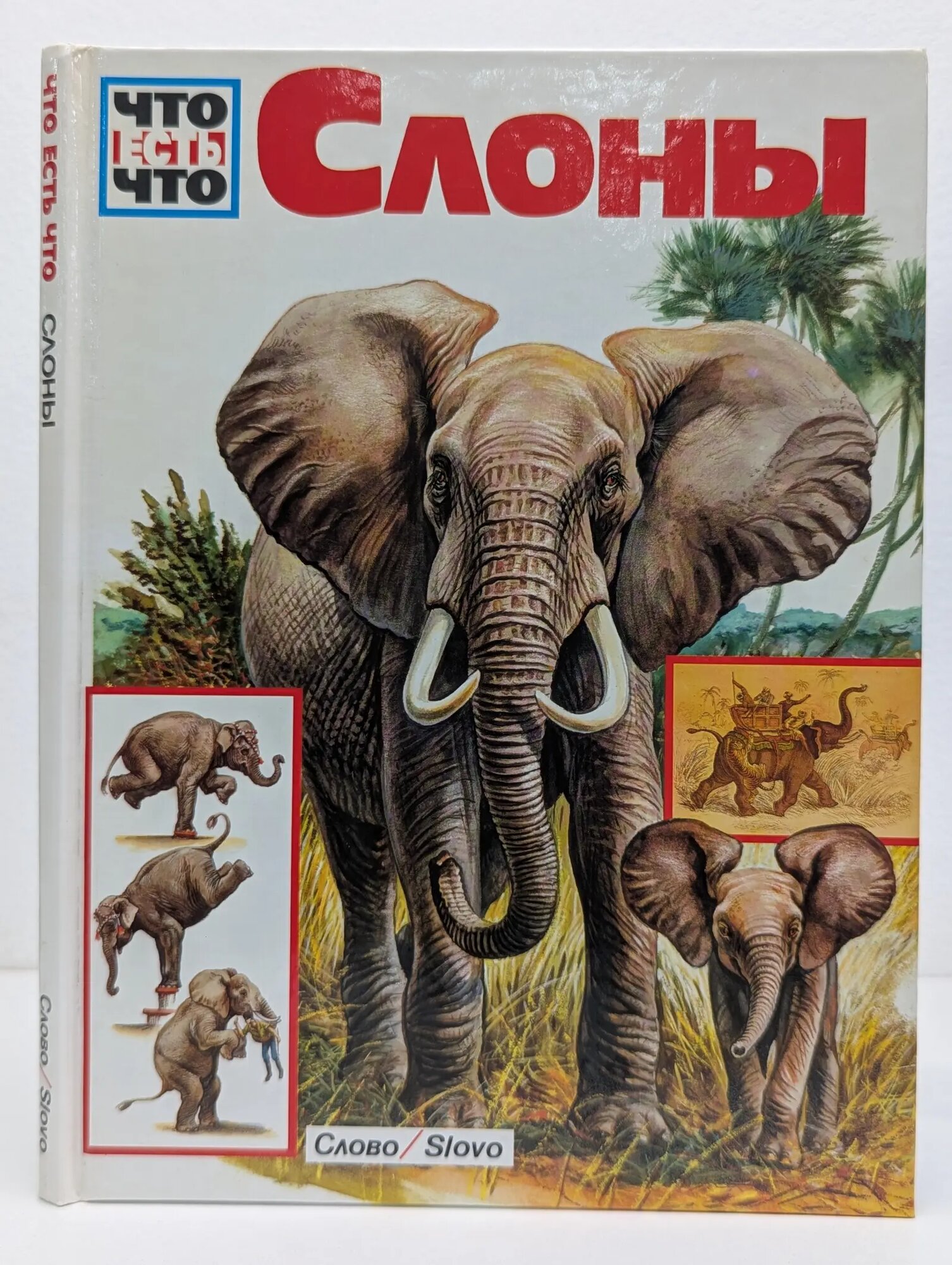 Что есть что. Слоны Зедлаг Ульрих 1991