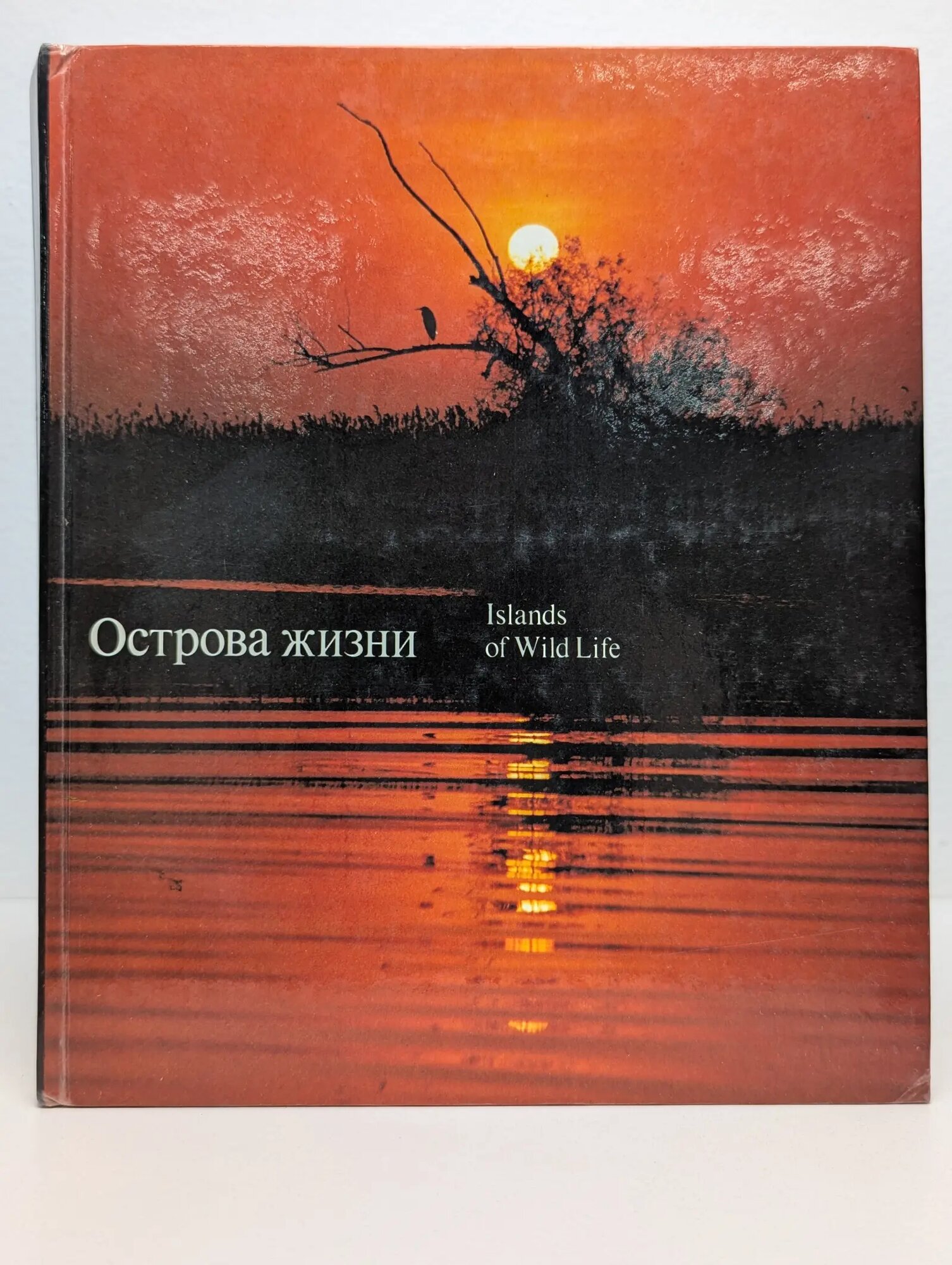 Острова жизни. Фотоальбом 1988