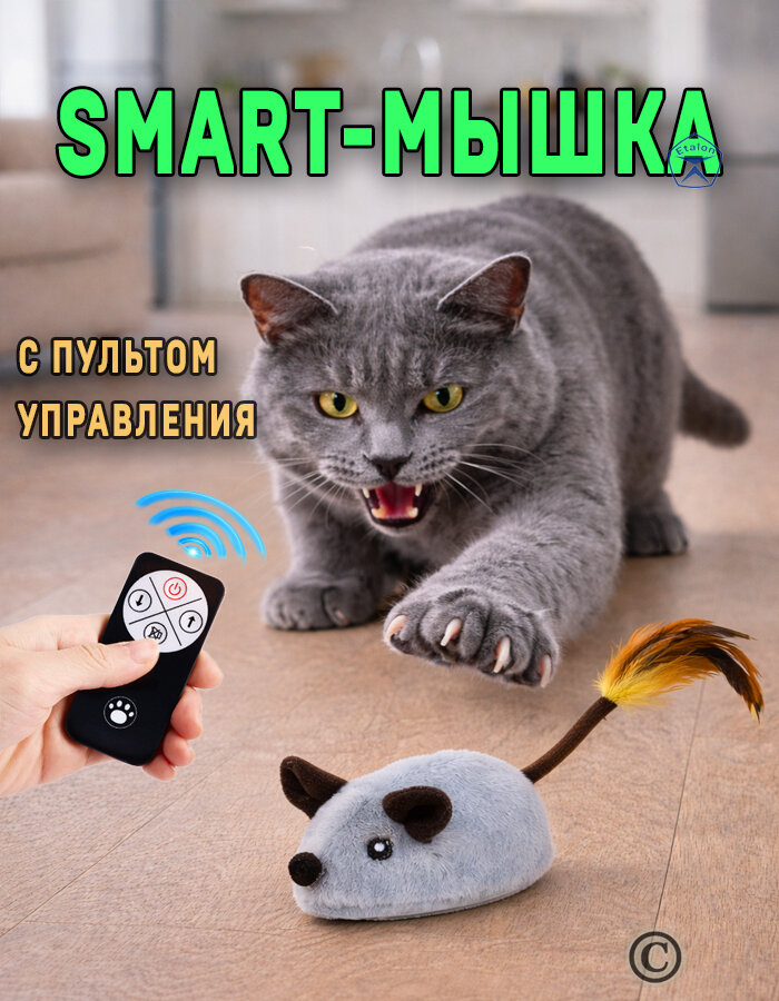 Игрушка для кошек интерактивная мышка с пультом