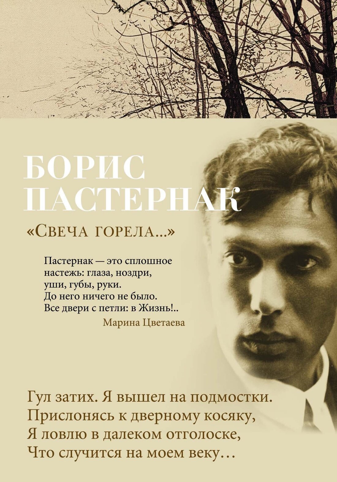 Свеча горела.", серия "Азбука-Поэзия