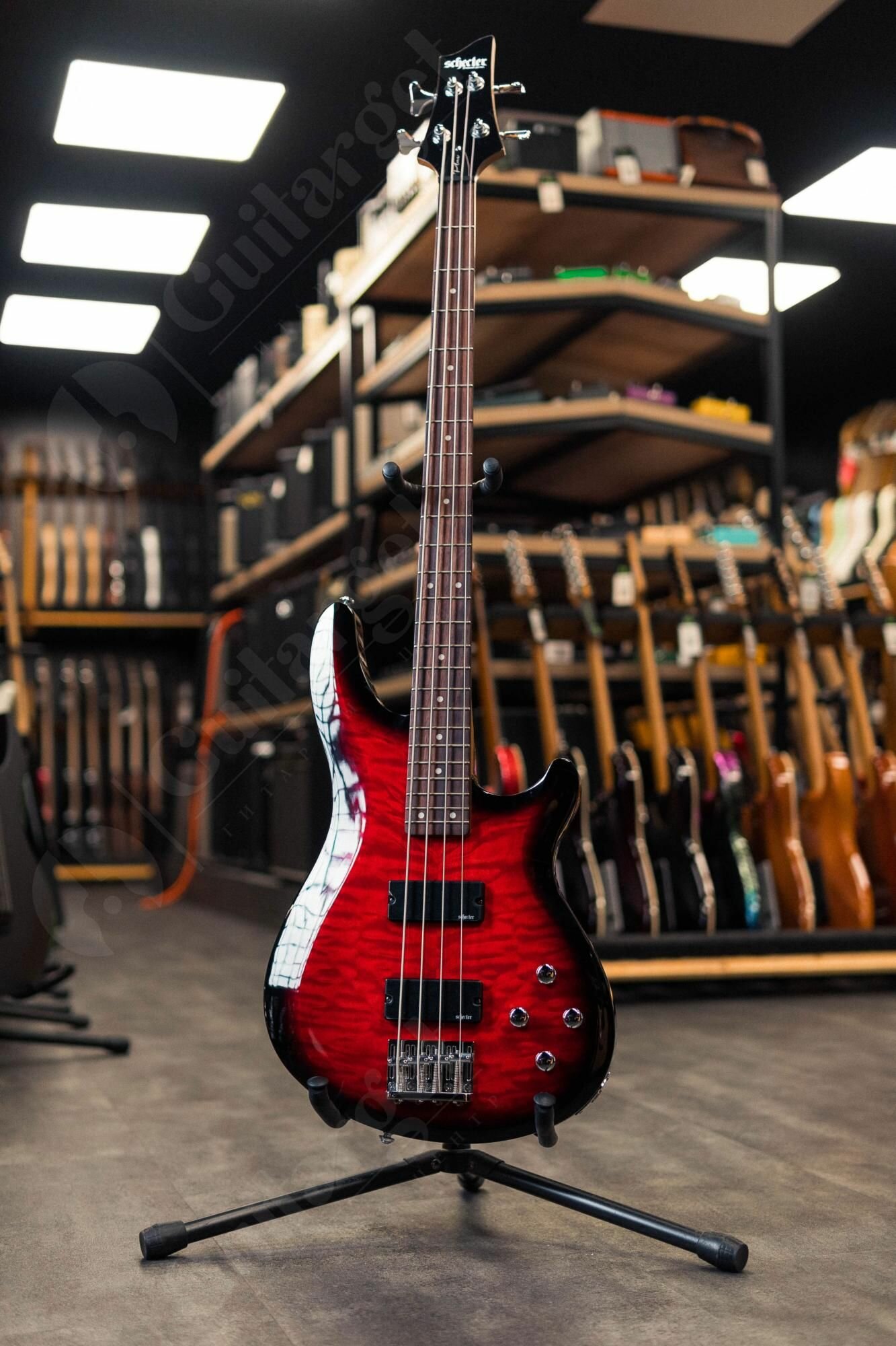 Schecter C-4 Plus STCHB Бас-гитара