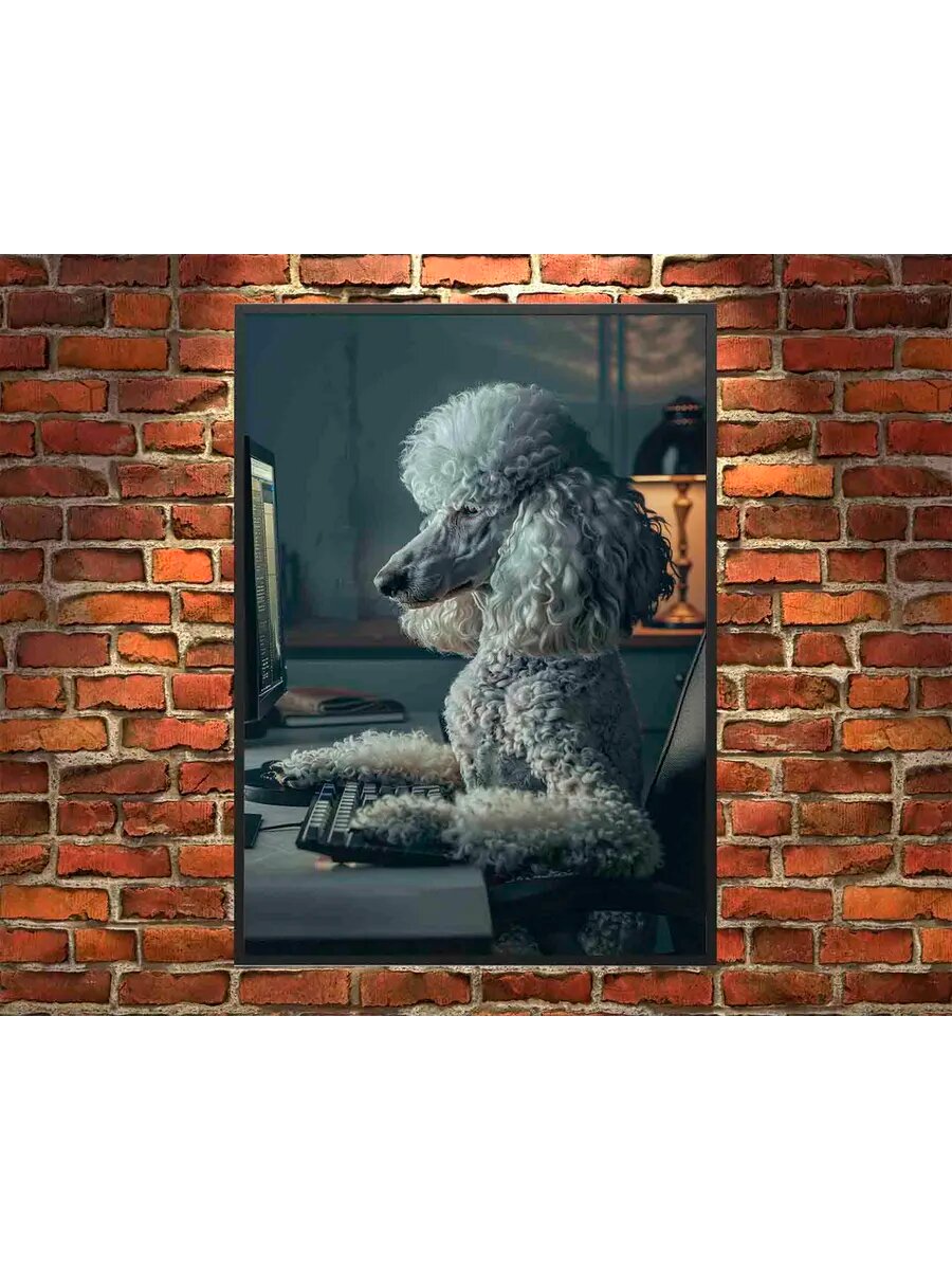 Программист-пудель 1, Плакат 30x42см