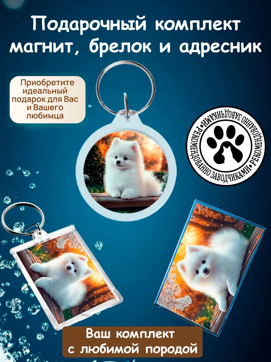 Подарочный комплект магнит брелок адресник