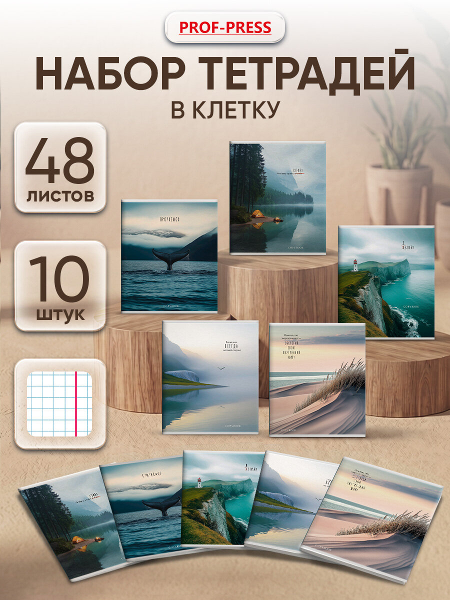 Тетрадь 48 листов в клетку Prof-Press, набор 10 штук