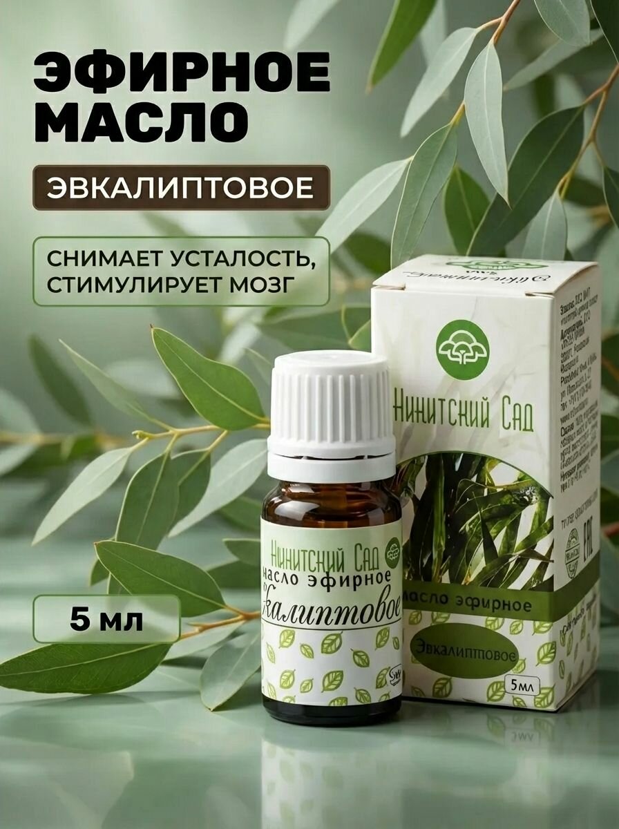 Эфирное масло Эвкалиптовое натуральное 100% для ароматерапии ингаляций и массажа, 5 мл