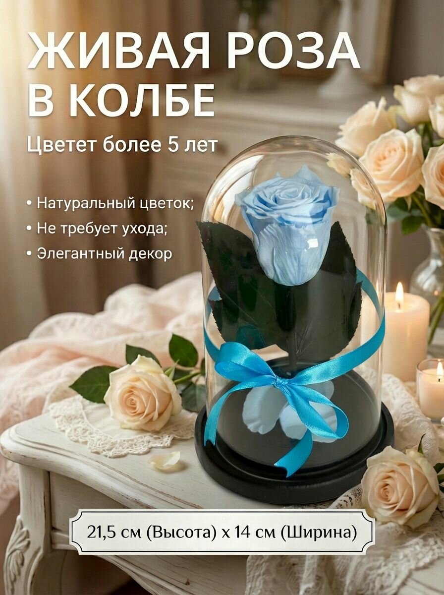Стабилизированные цветы в стекле, Роза в колбе живая Glamur голубой 22x14см, GIFT4YOU