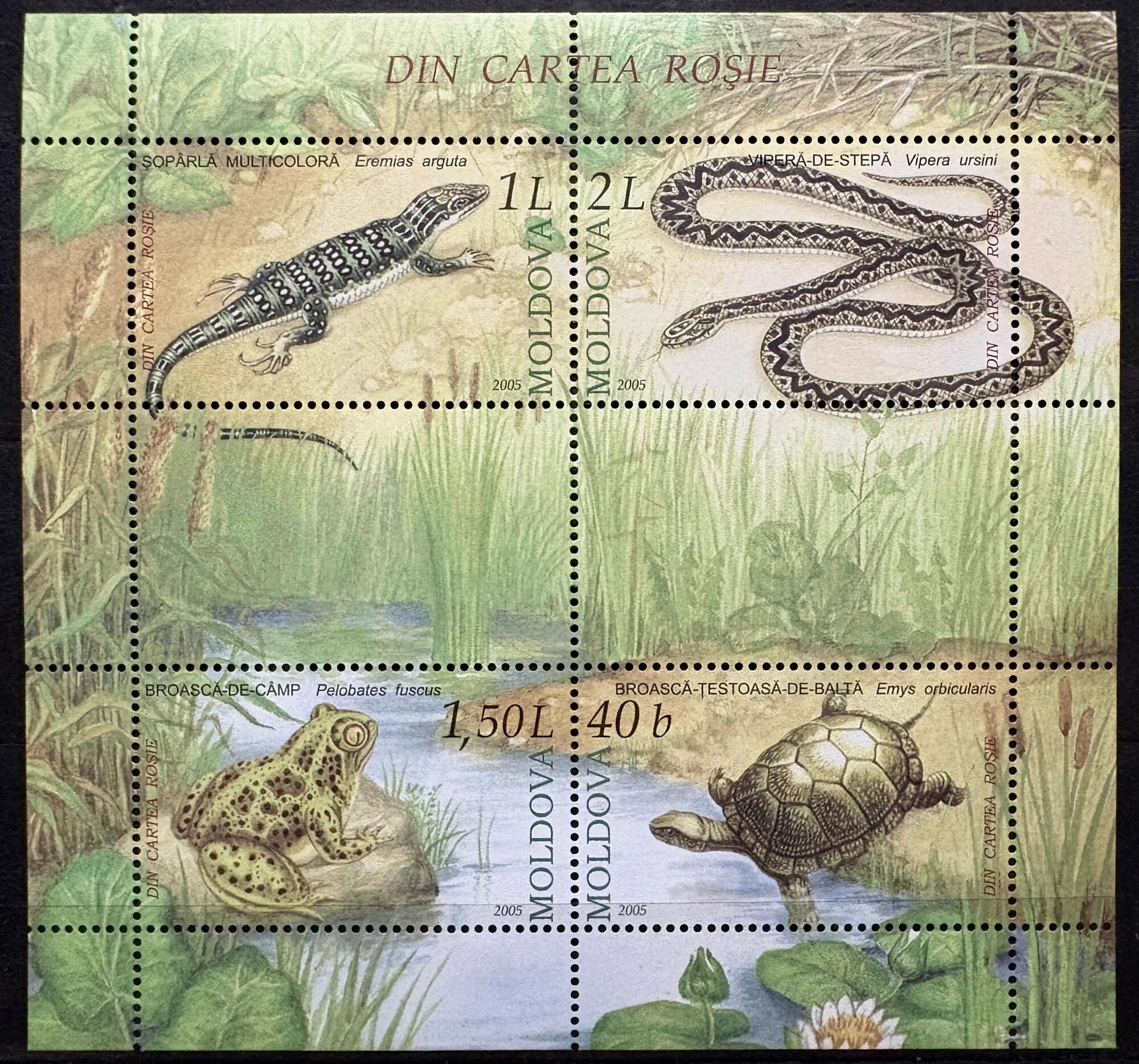 Молдова 2005, Фауна. Рептилии