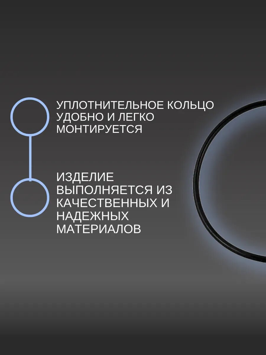 Кольцо уплотнительное Посейдон 19010, для колбы Big Blue, черное, 1 шт — фото 1