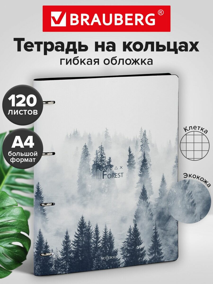 Тетрадь на кольцах со сменным блоком А4 240х310 мм, 120 листов, под кожу Туман, Vista