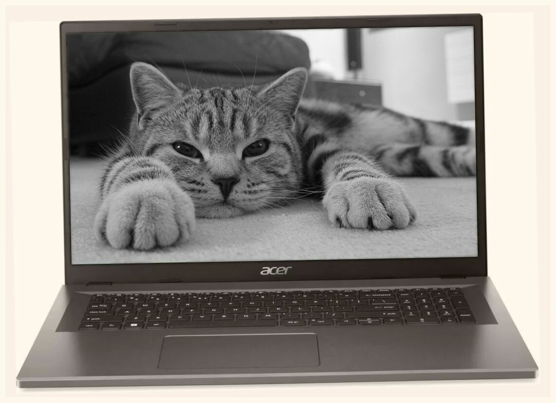 Ноутбук Acer Intel N-Series 3,1ГГц 4 ядер. 17' 1920x1080 Intel UHD Graphics Xe 24EUs Windows 11 Pro Русская раскладка