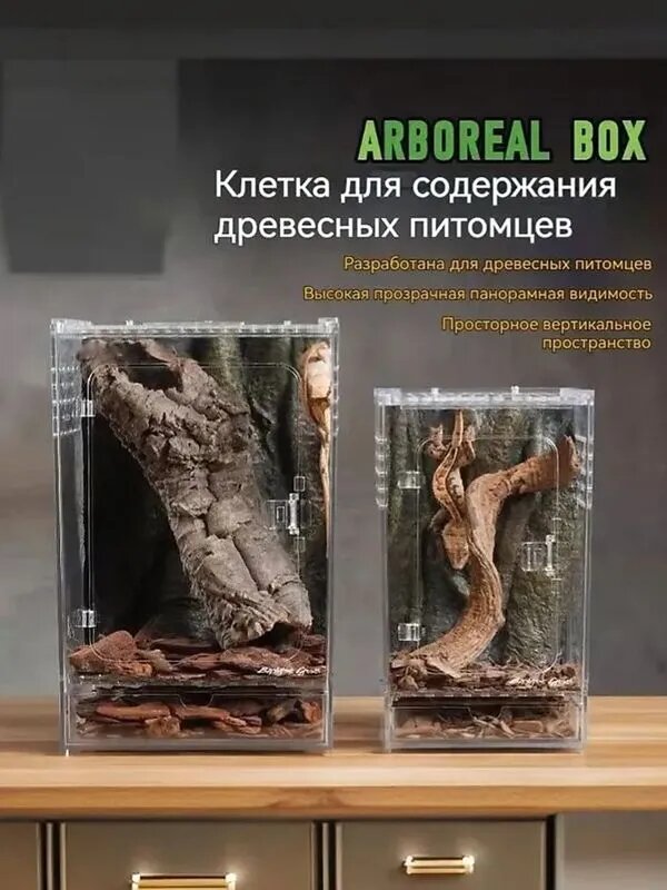 Террариум Для Рептилий Вертикальный, пауков, улиток, богомолов, палочника, ящерицы,15*15*25cm