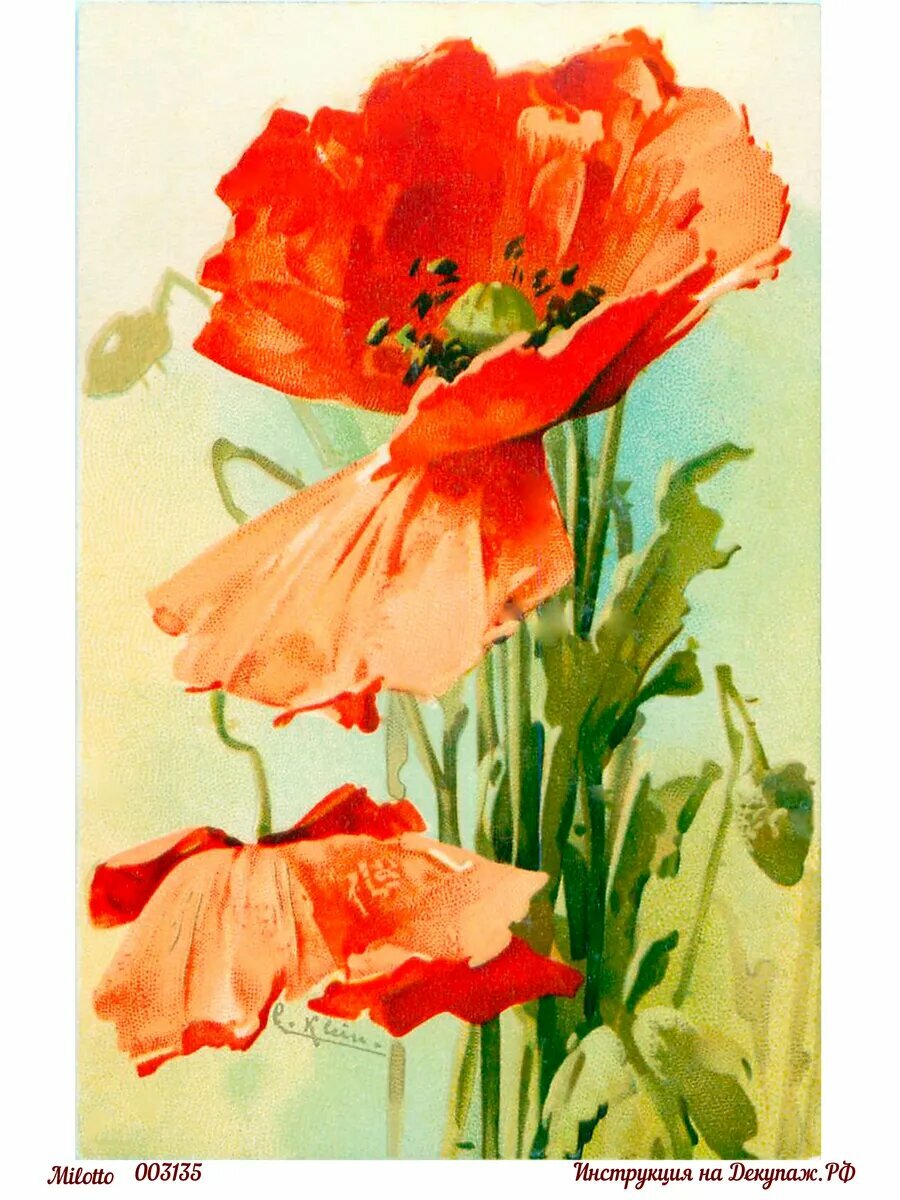 Декупажная карта рисовая бумага А4 цветы маки