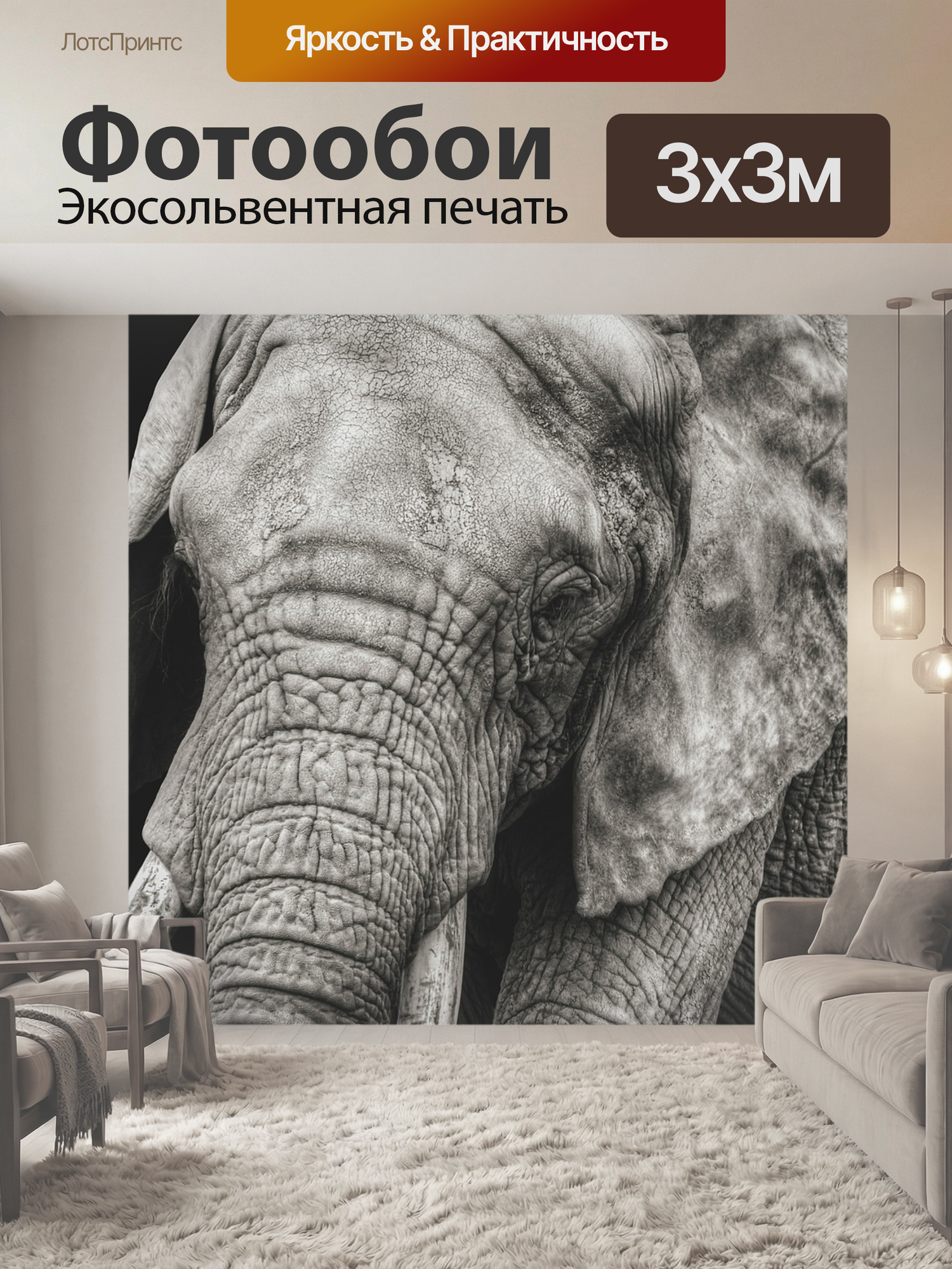 Фотообои "Слон, крупным планом, черный и белый" 300x300 см. экосольвентная печать