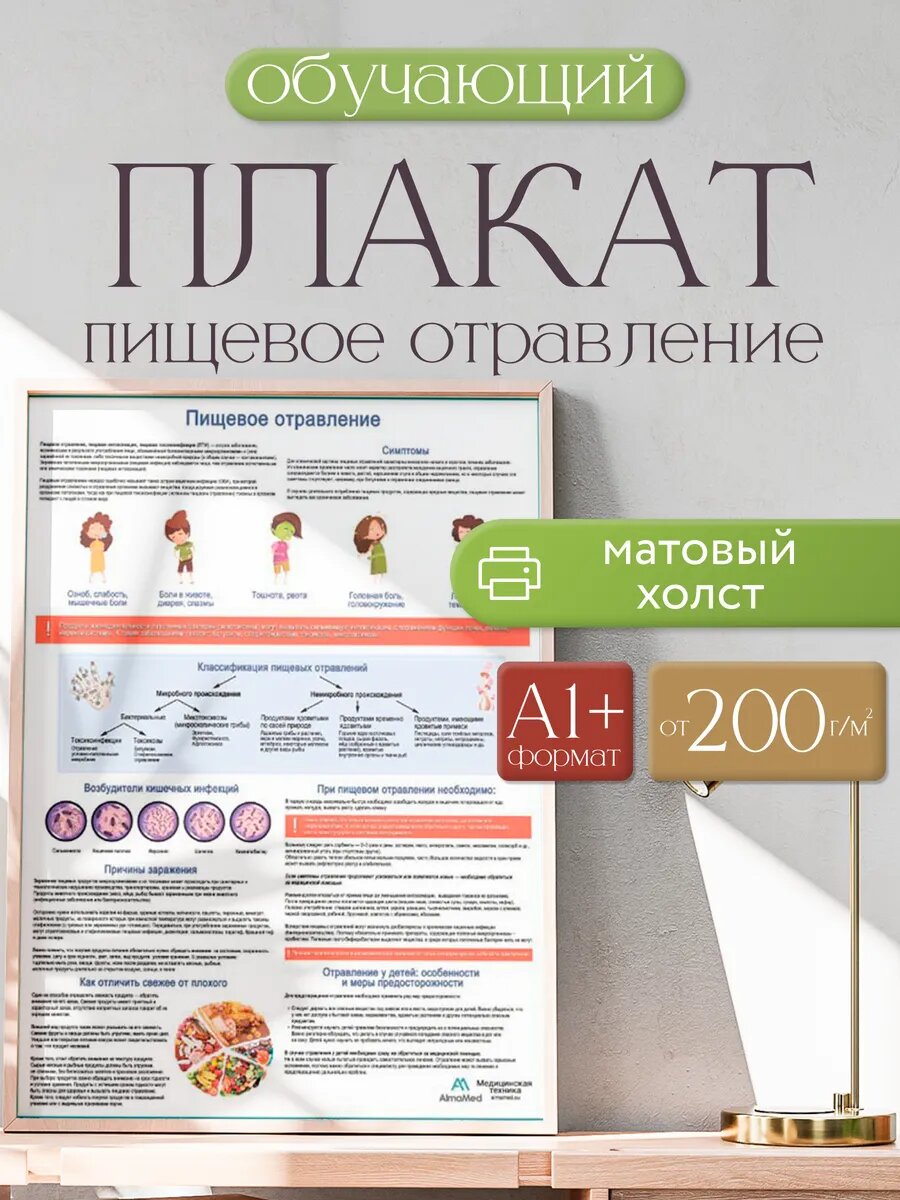 Пищевое отравление, медицинский плакат, матовый холст от 200 г/кв. м, размер A1+