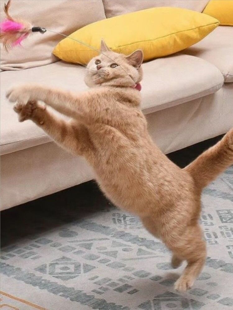 Игрушка для животных — фото 1