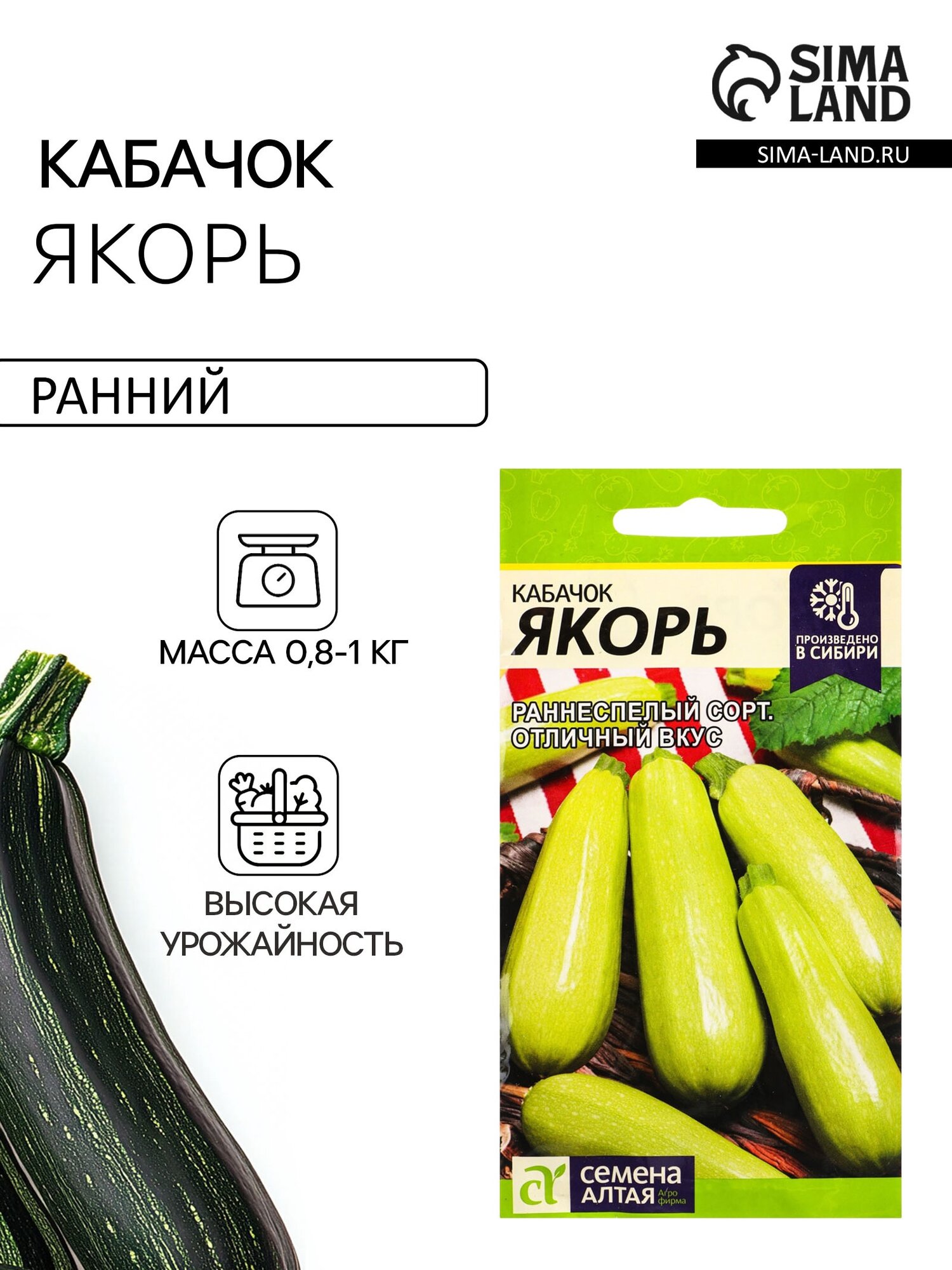 Семена Кабачок «Якорь», 2 г, «Семена Алтая»