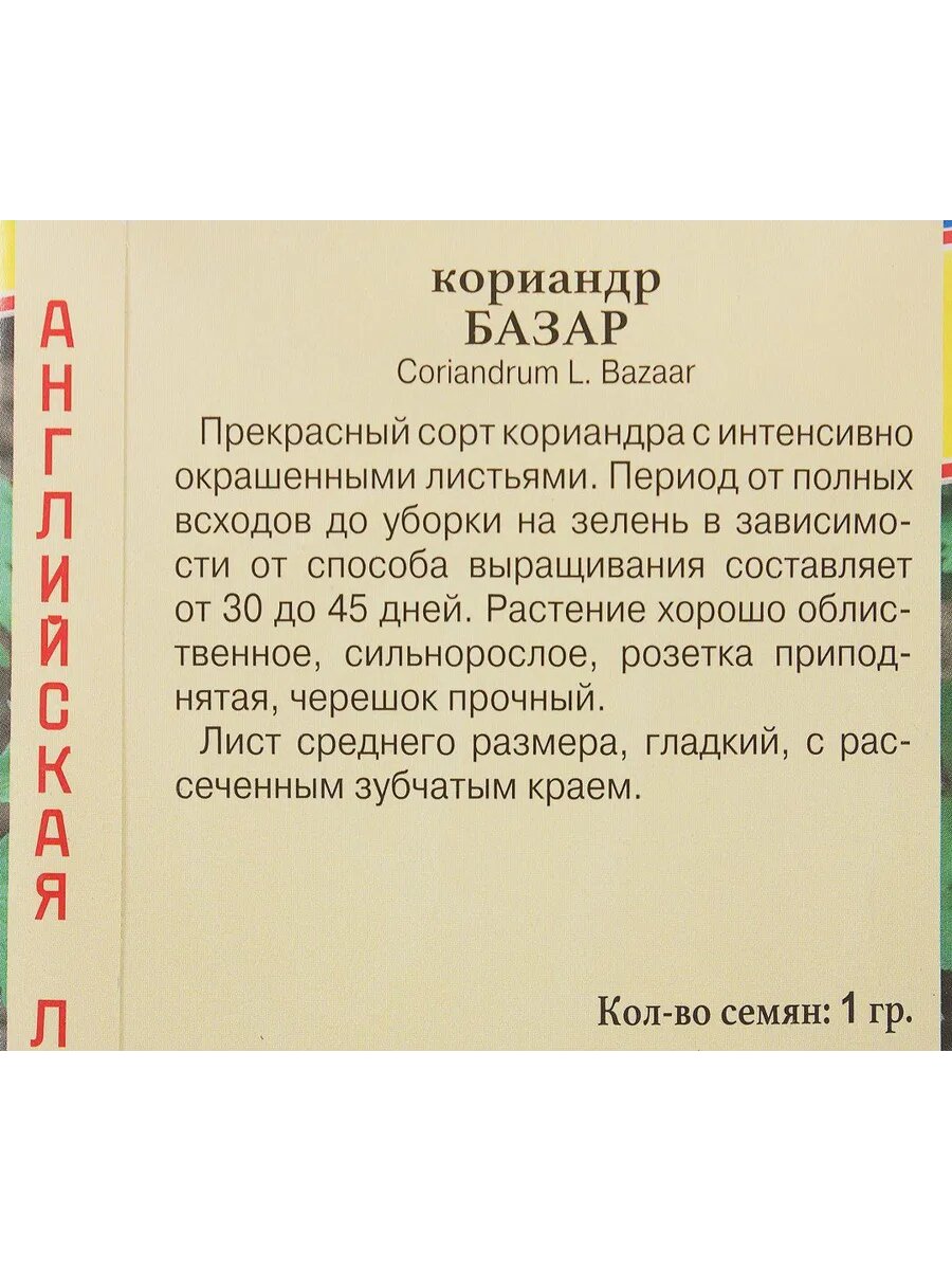 Семена Кориандр Базар — фото 1