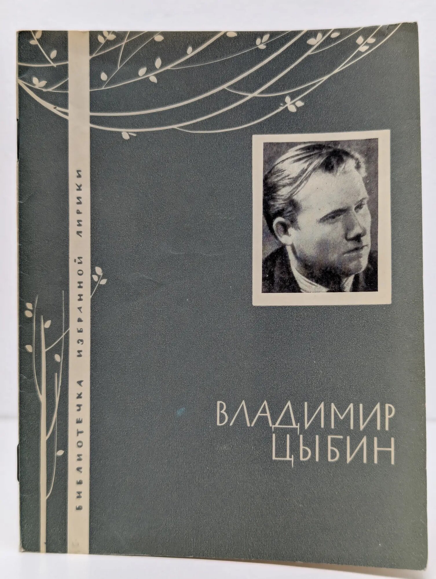 Библиотечка избранной лирики. Владимир Цыбин. Избранная лирика Цыбин Владимир Дмитриевич 1965