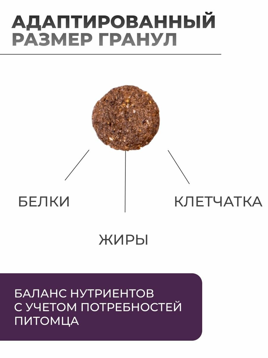 Корм сухой