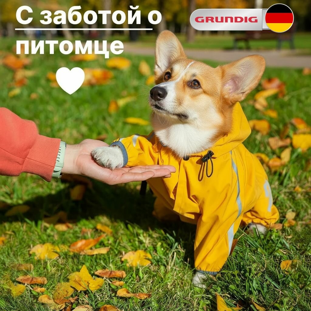 Постоплата одежда для собак, комбинезон, дождевик для мелких и средних пород